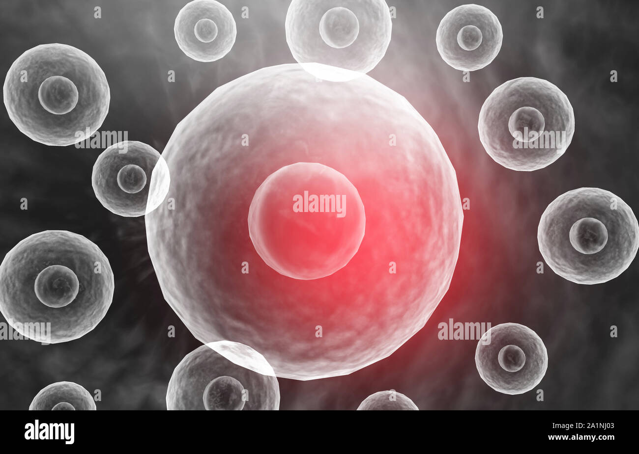 Human cells with science background. 3d render Stock Photo - Alamy