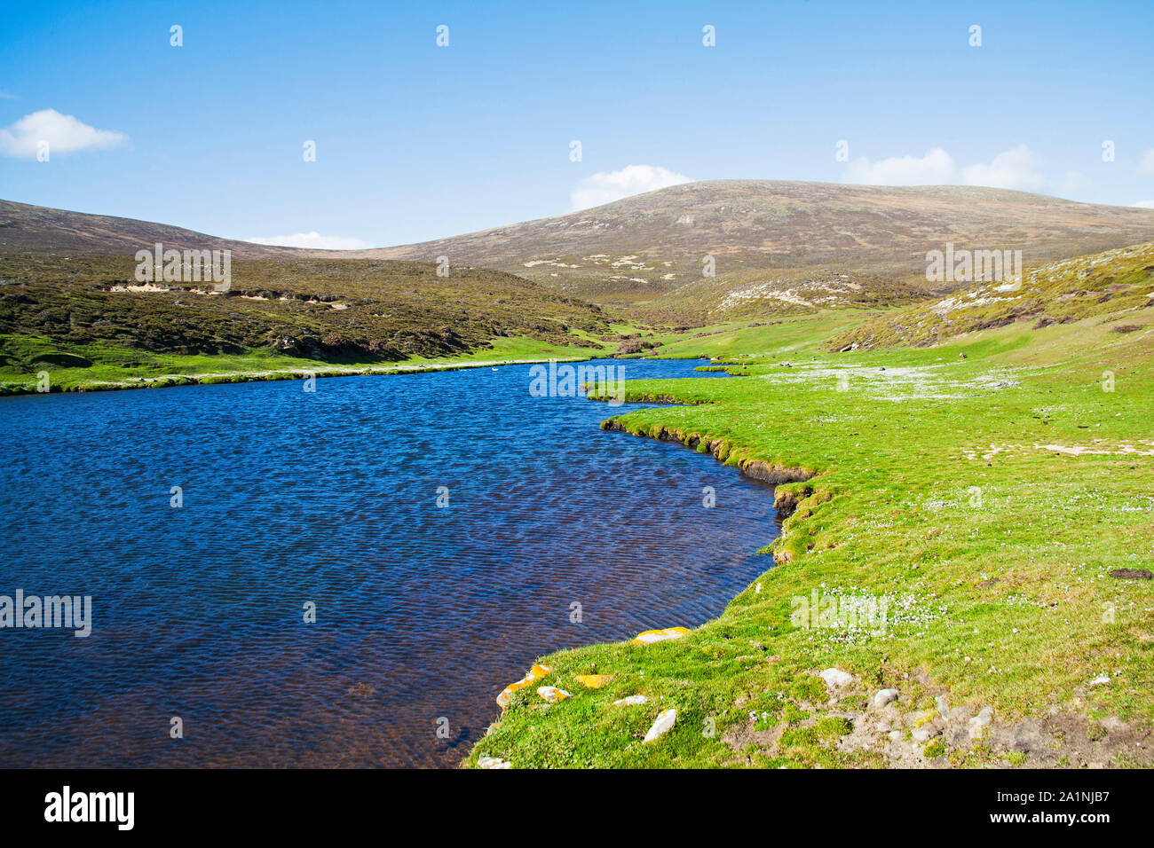 Freshwater pool Saunders Island Falkland Islands Stock Photo - Alamy