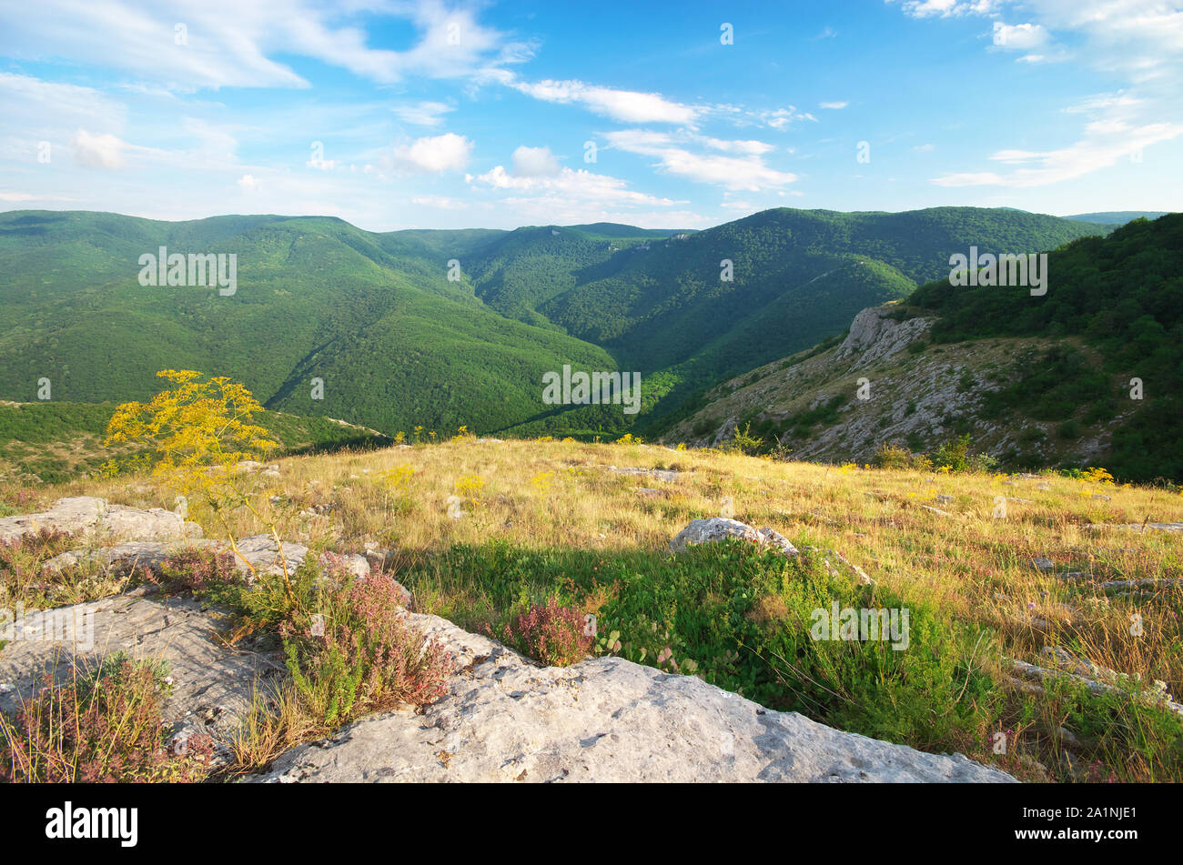 Mountain spring landscape. Composition of nature Stock Photo - Alamy