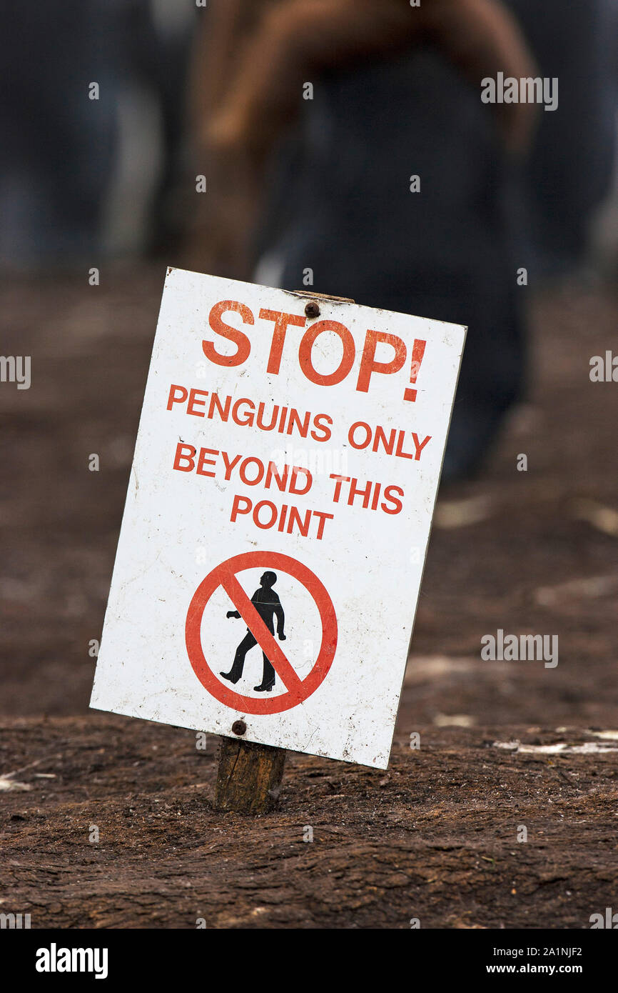 Penguins only sign hi-res stock photography and images - Alamy