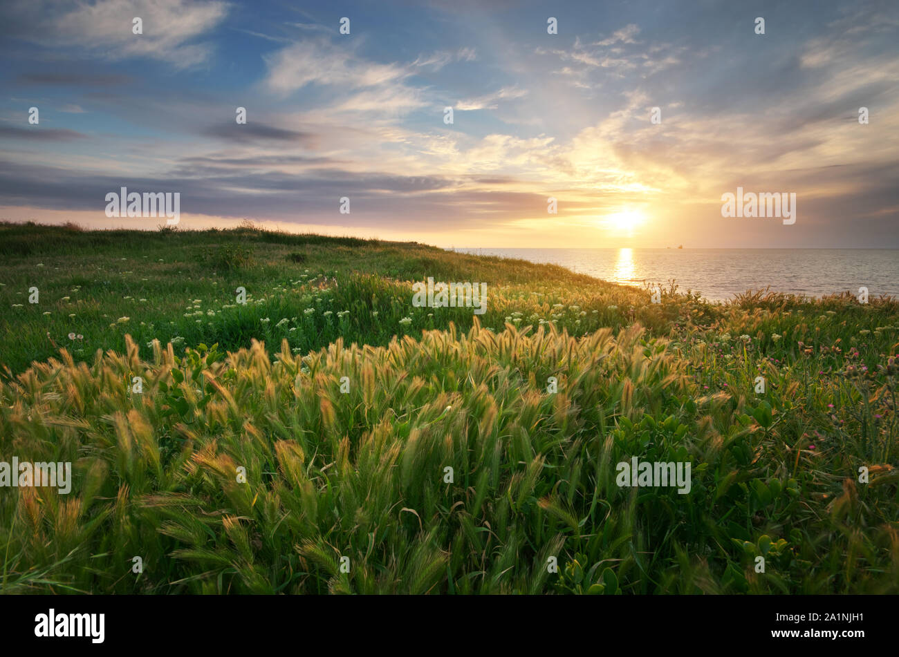 Sundown landscape composition. Sky, sea, and green grass Stock Photo ...