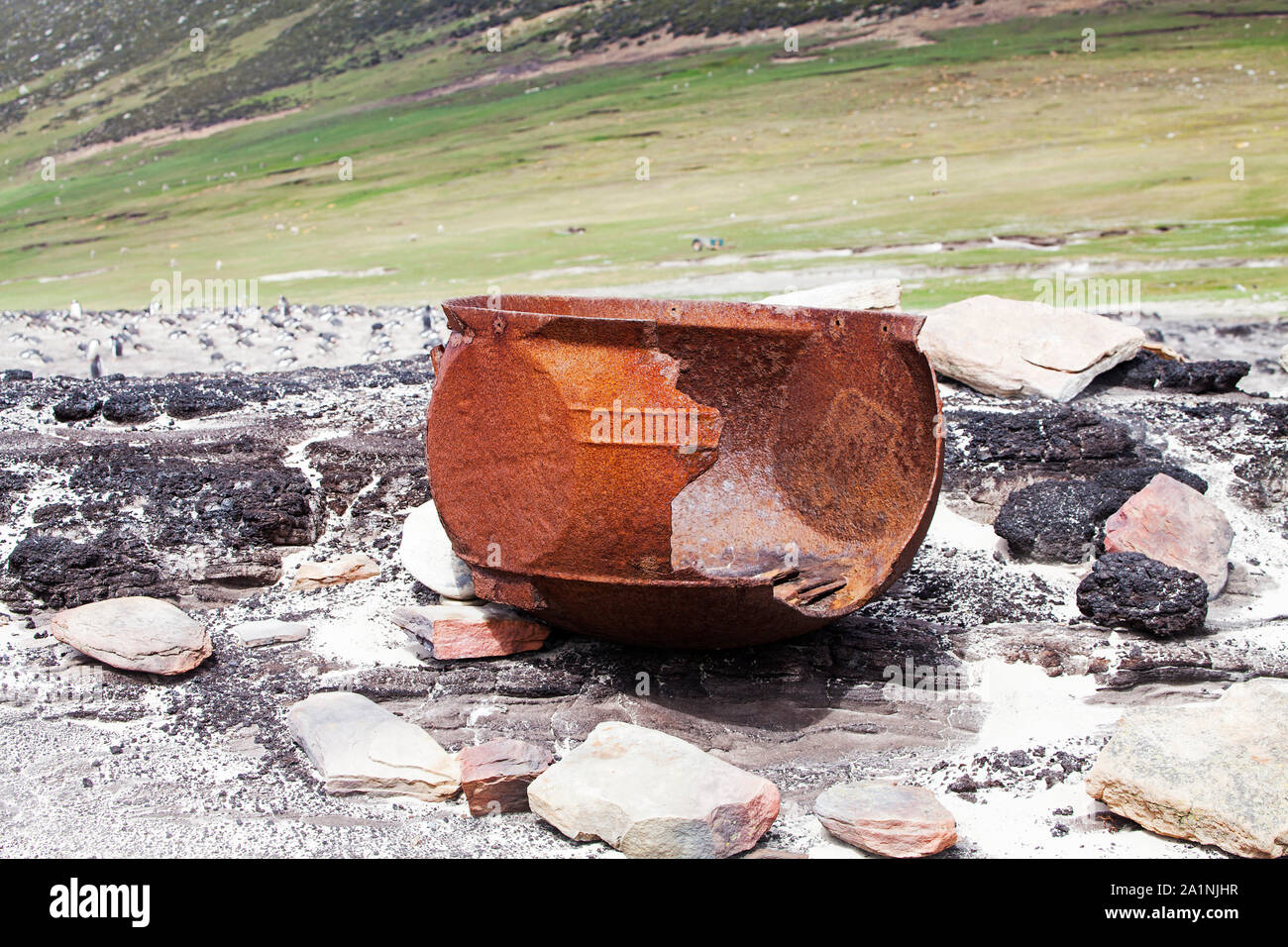 Broken penguin boiling pot hi-res stock photography and images - Alamy