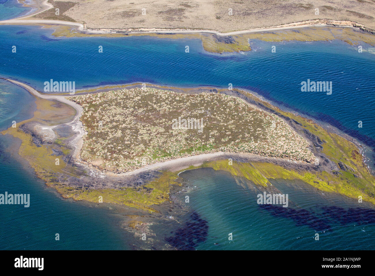 Aerial view falklands islands hi-res stock photography and images - Alamy