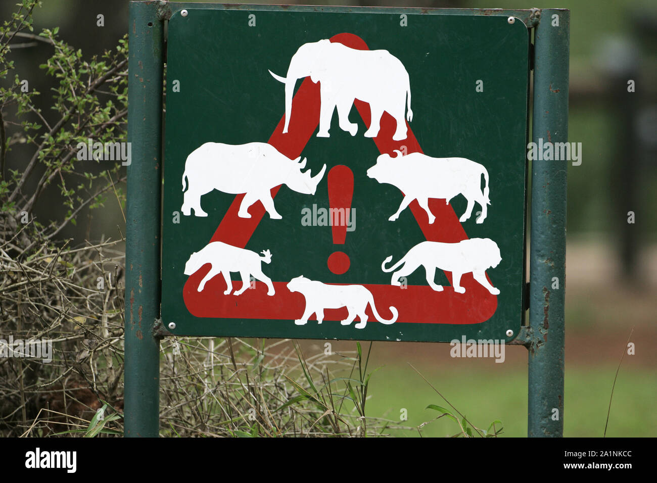 Warning sign depcting elephant rhino buffalo hyena leopard and lion ...