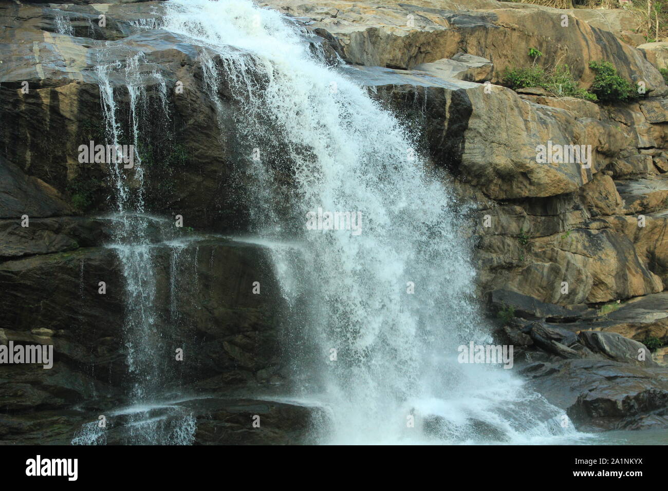 Joy in looking and comprehending is nature’s most beautiful gift Stock ...