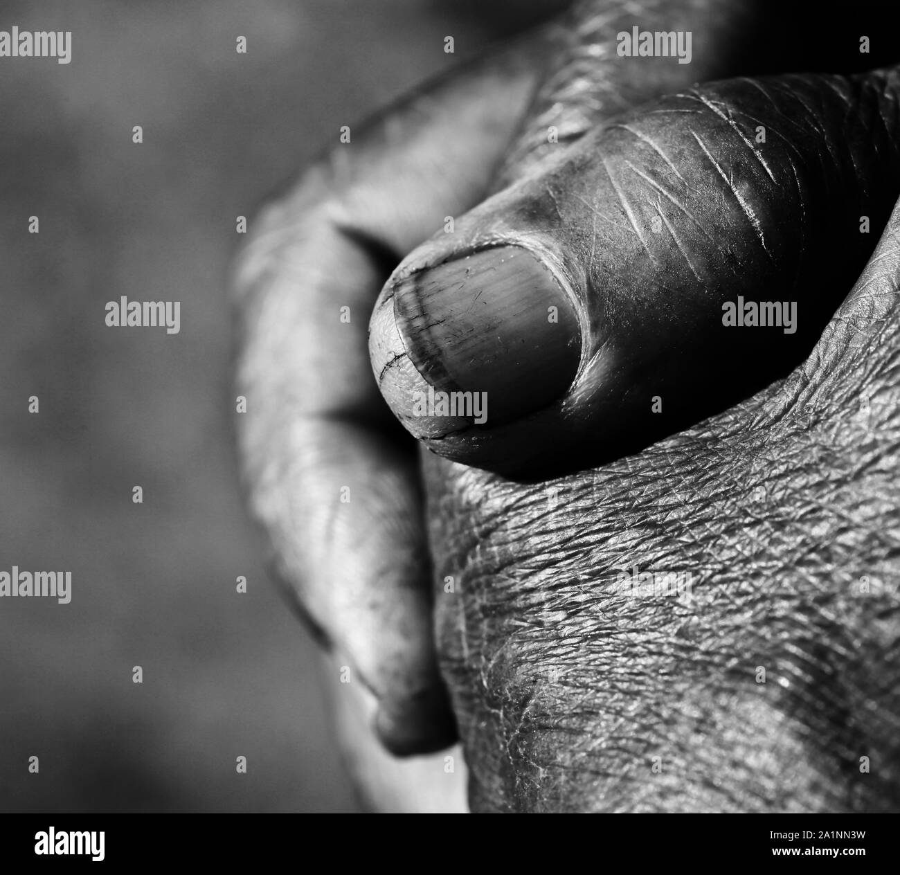 Human Hand with unique details Stock Photo - Alamy