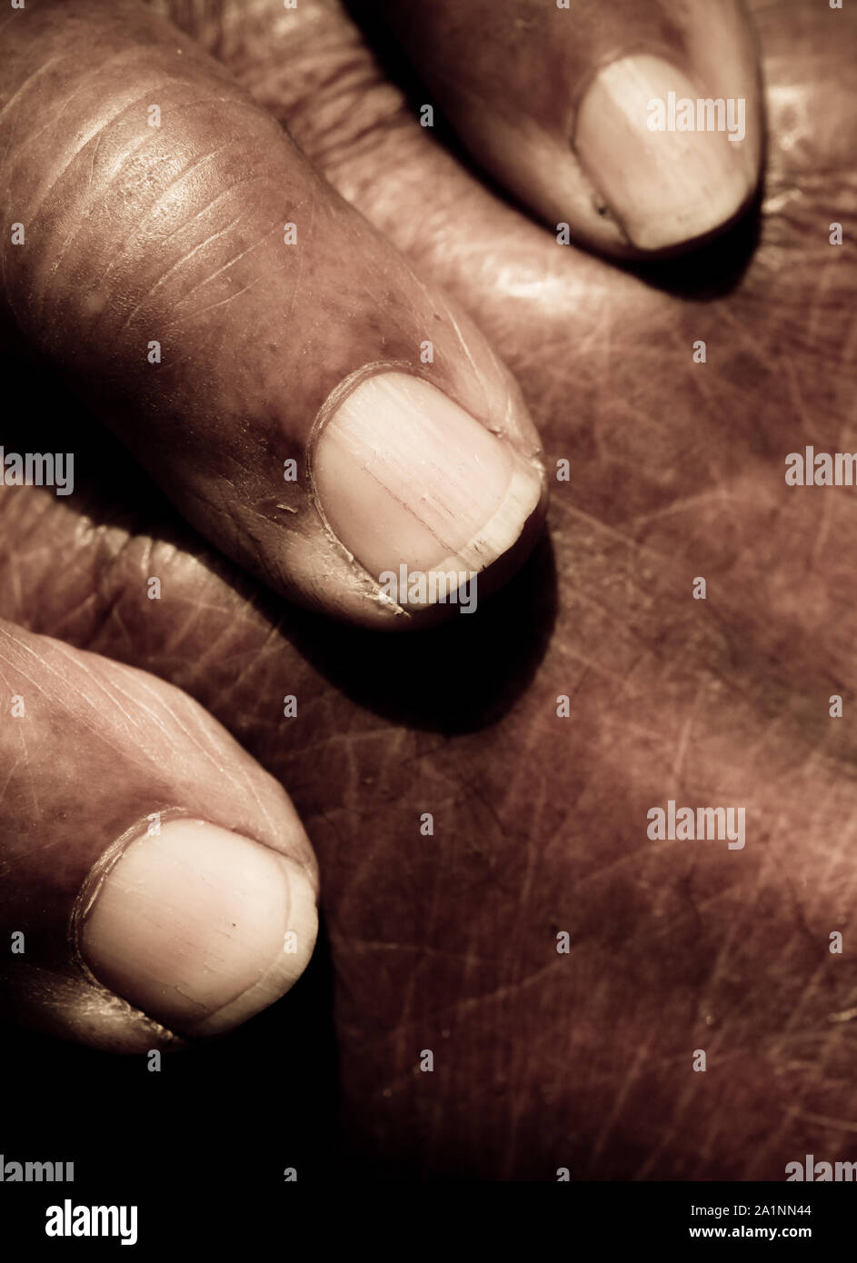 Human Hand with unique details Stock Photo - Alamy