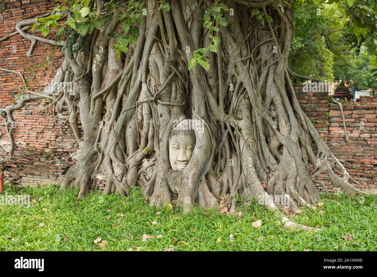 Ayutthaya Thai Temples High Resolution Stock Photography and Images - Alamy
