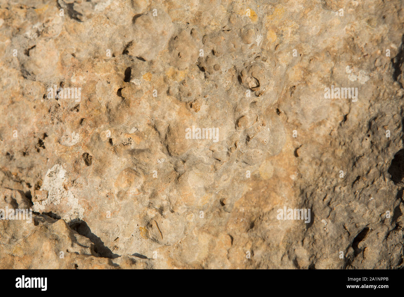 stone texture, close-up background texture Stock Photo - Alamy