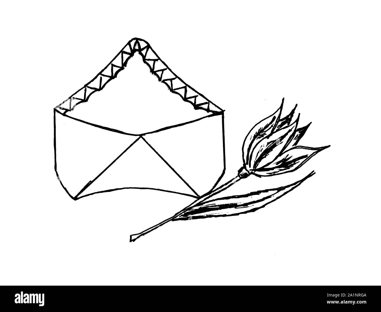 Hand drawn image of envelope and flower on white background Stock Photo ...