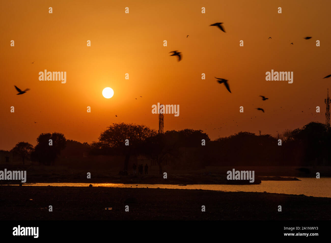 Beautiful india wildlife sunset hi-res stock photography and images - Alamy