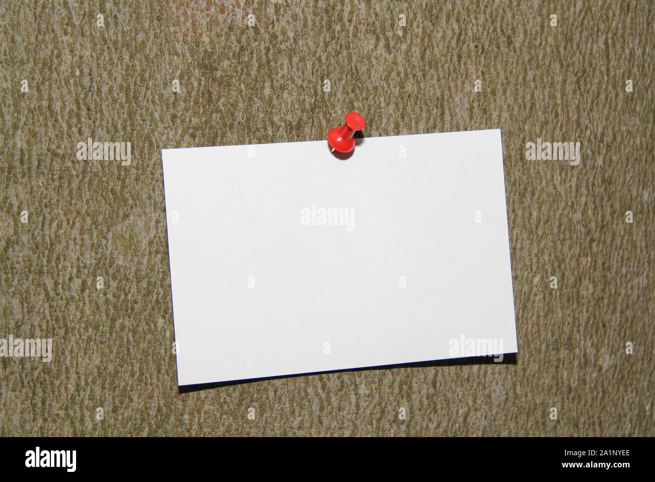 empty piece of paper pinned to a tree Stock Photo - Alamy