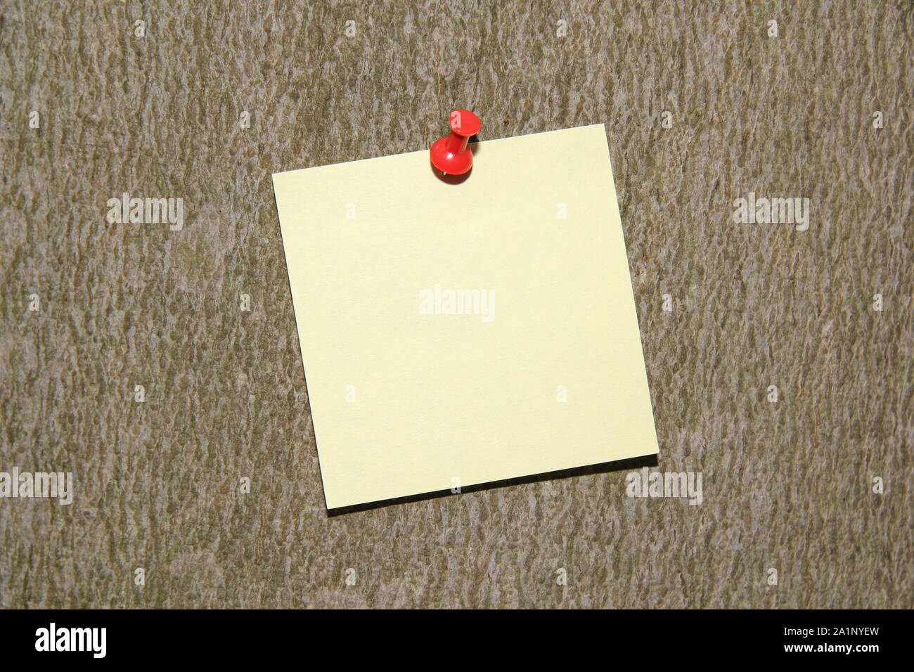 Pinned to a tree hi-res stock photography and images - Alamy