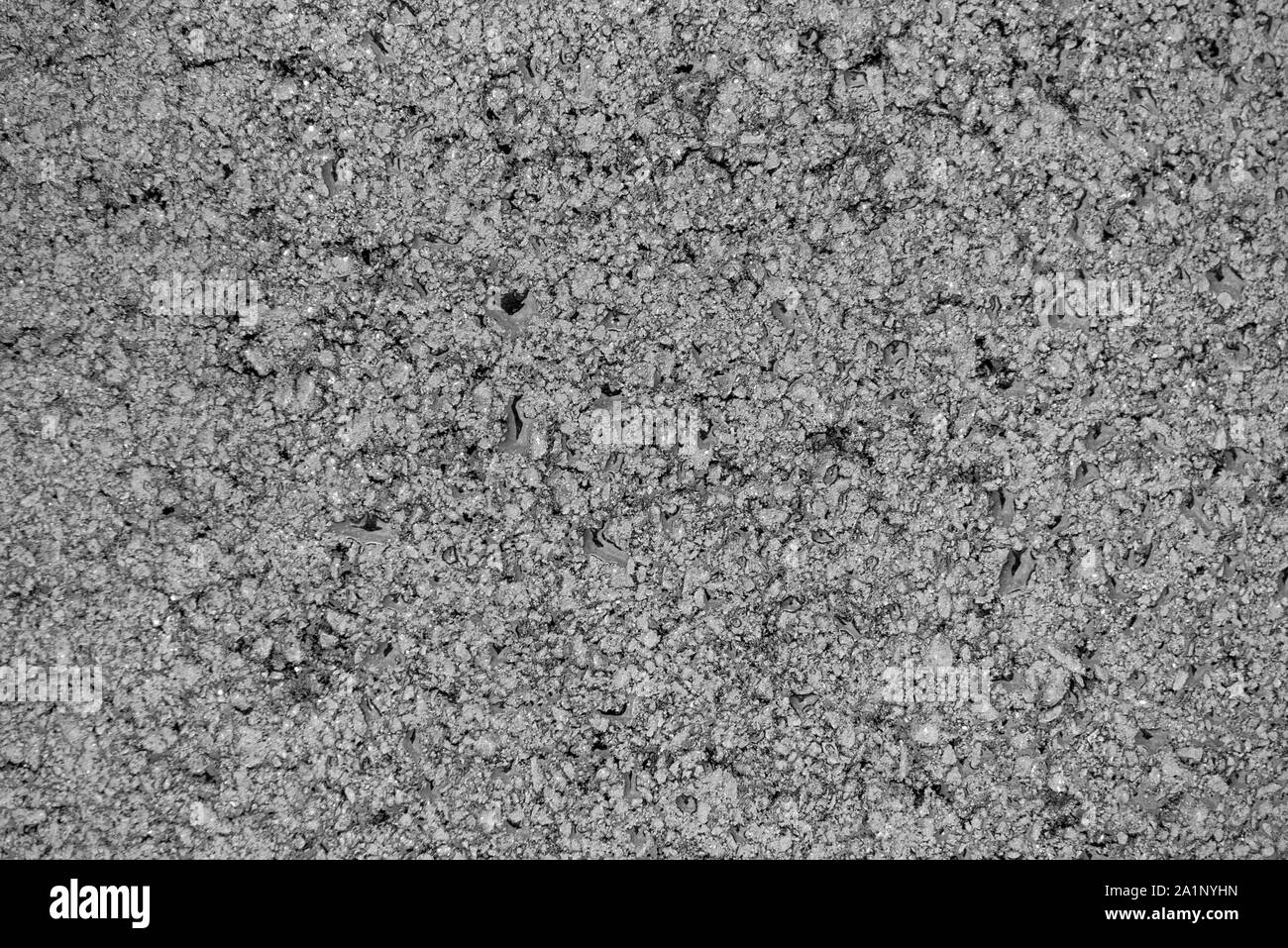 Asphalt texture close up Stock Photo - Alamy Asphalt texture close up Stock Photo - Alamy