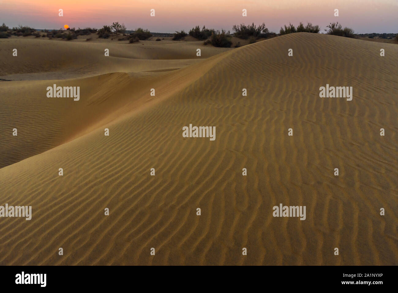 Sand dunes in Thar desert at sunset. Jaisalmer. Rajasthan. India Stock ...