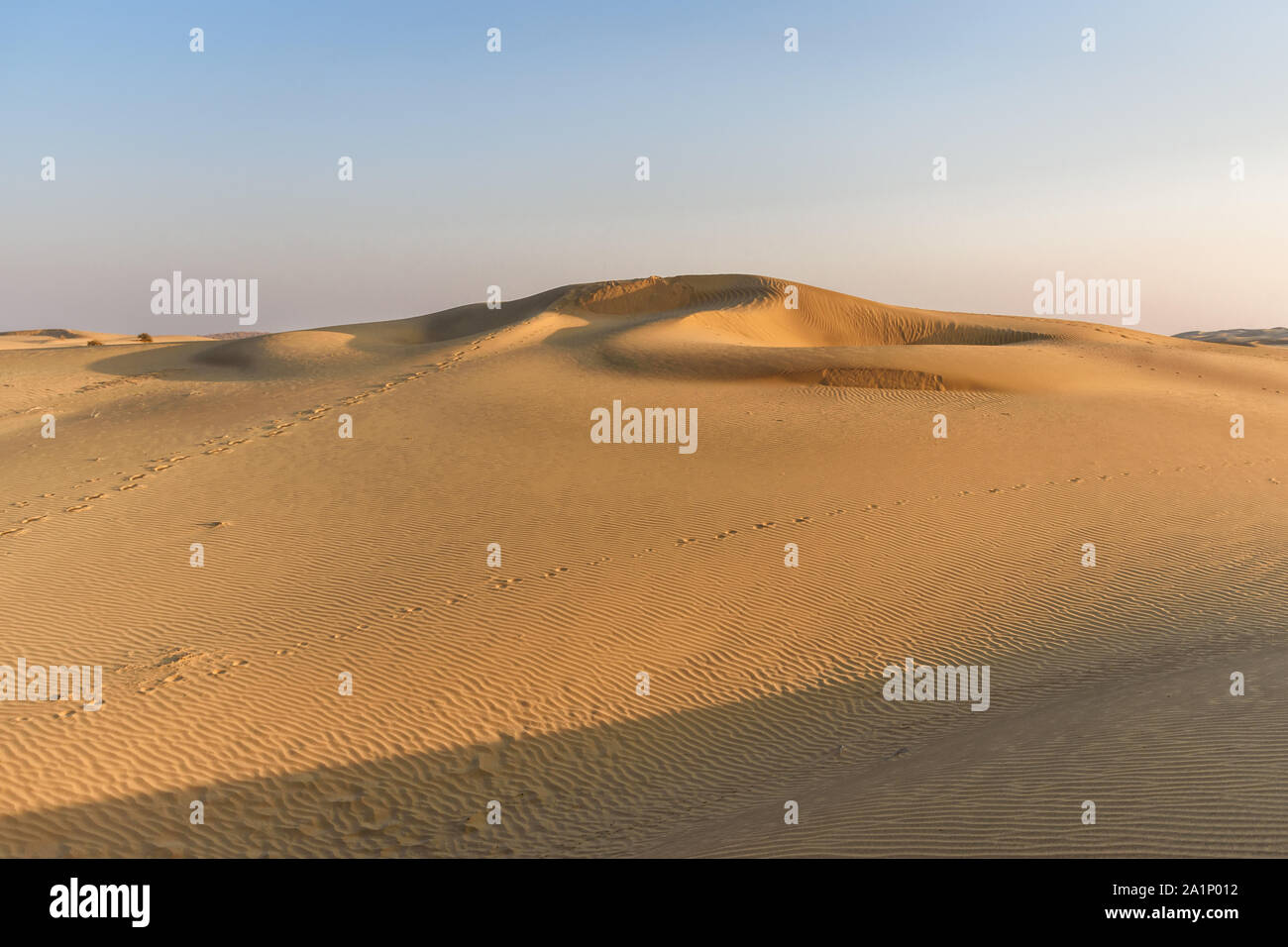 Sand dunes in Thar desert. Jaisalmer. Rajasthan India Stock Photo - Alamy
