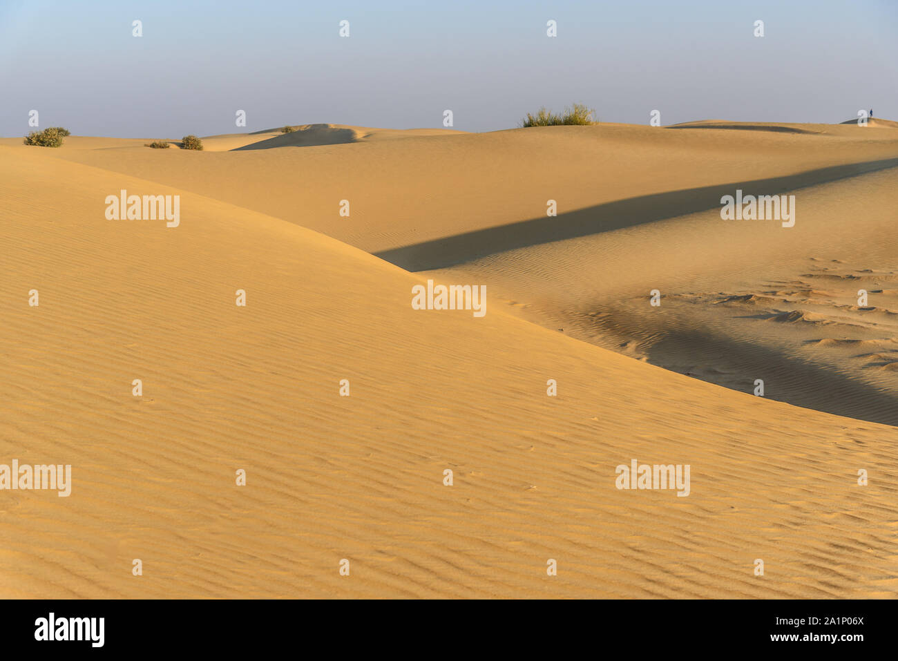 Sand dunes in Thar desert. Jaisalmer. Rajasthan India Stock Photo - Alamy