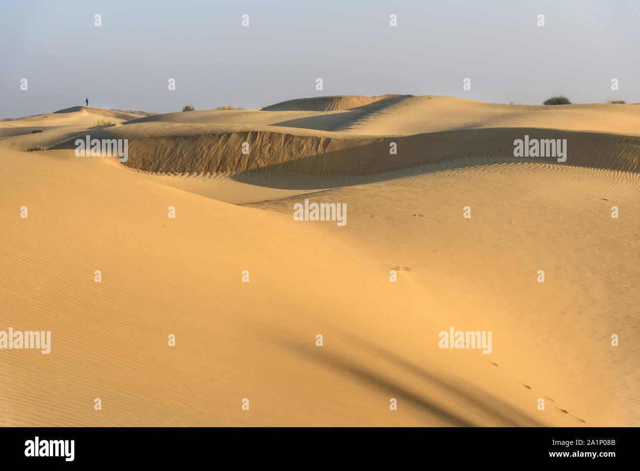 Sand dunes in Thar desert. Jaisalmer. Rajasthan India Stock Photo - Alamy