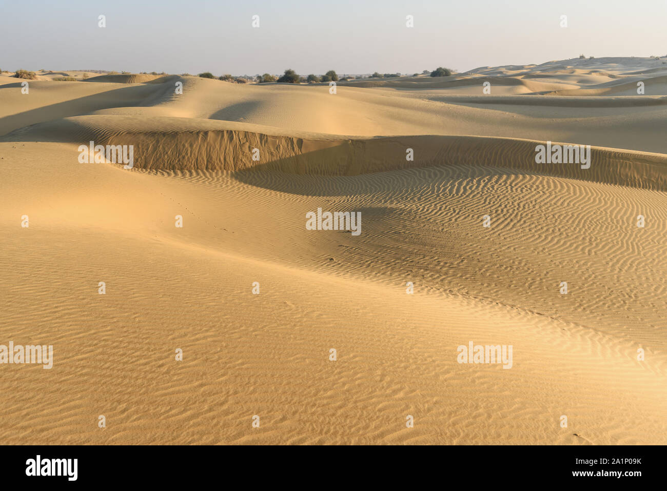 Sand dunes in Thar desert. Jaisalmer. Rajasthan India Stock Photo - Alamy