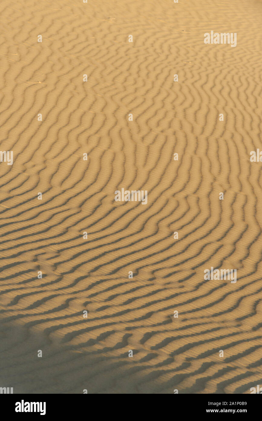 Sand background texture in Thar desert. Jaisalmer. Rajasthan. India ...