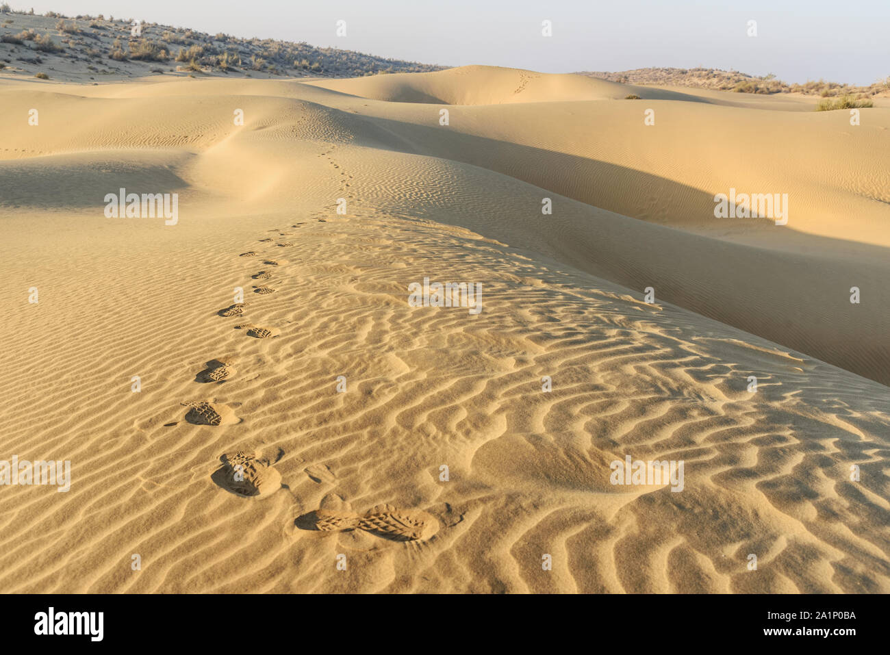 Sand dunes in Thar desert. Jaisalmer. Rajasthan India Stock Photo - Alamy