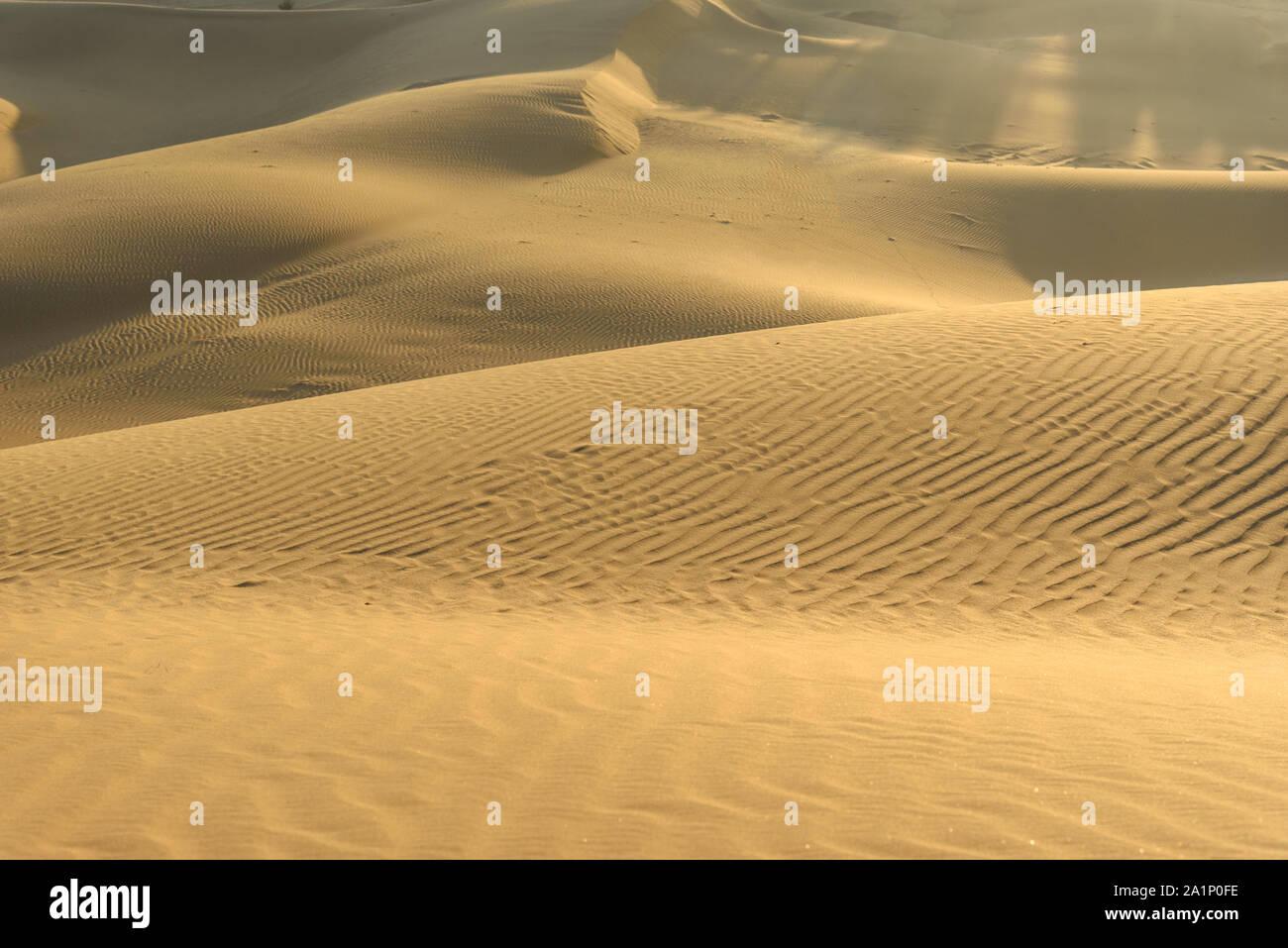 Sand dunes in Thar desert. Jaisalmer. Rajasthan India Stock Photo - Alamy