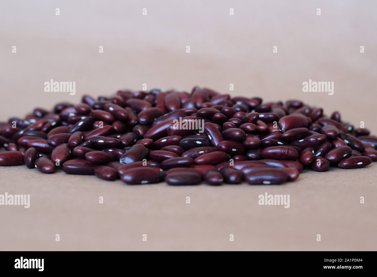 shiny hard red bean grains Stock Photo - Alamy
