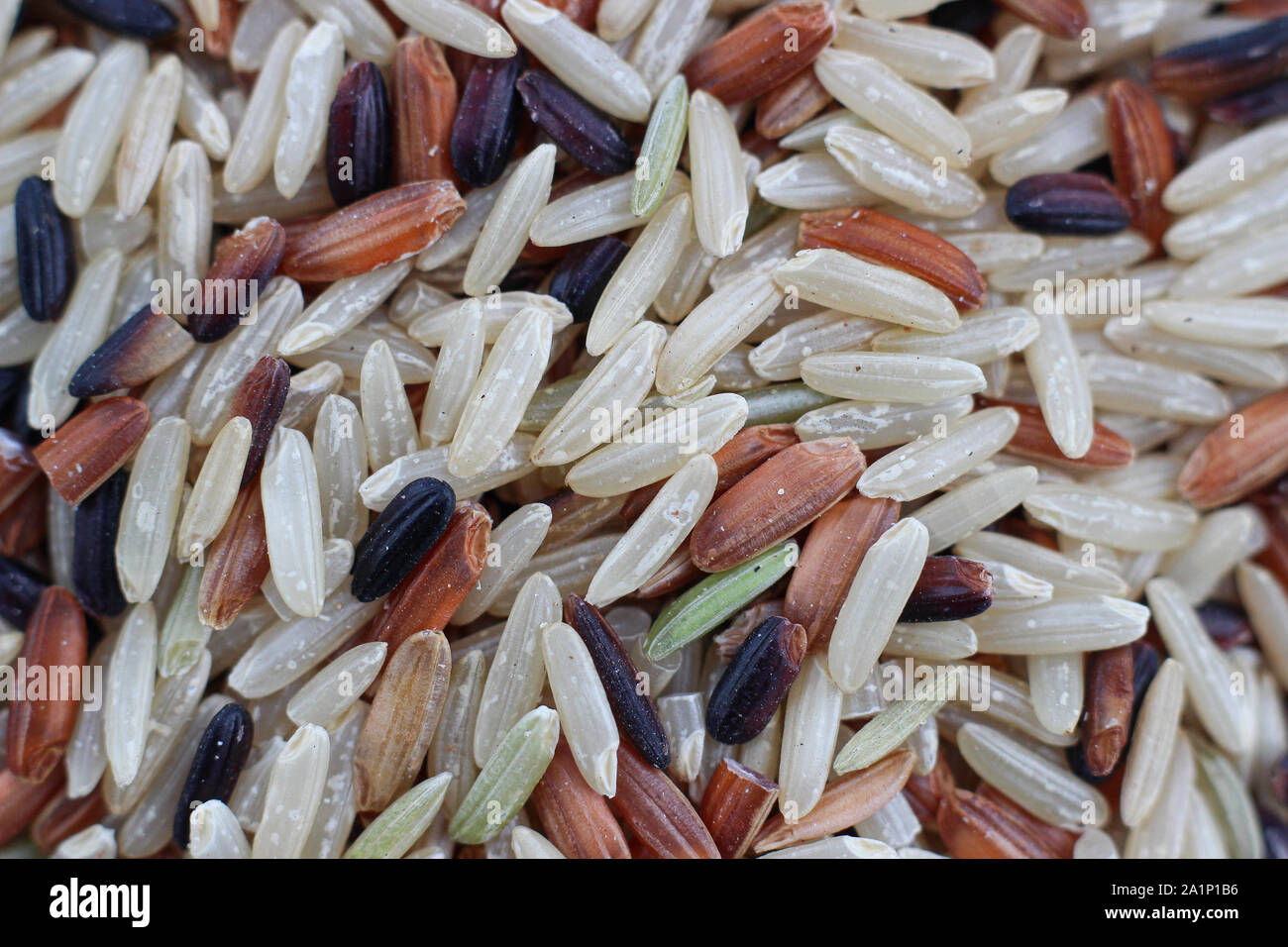 Background from rice grains of different colors Stock Photo - Alamy