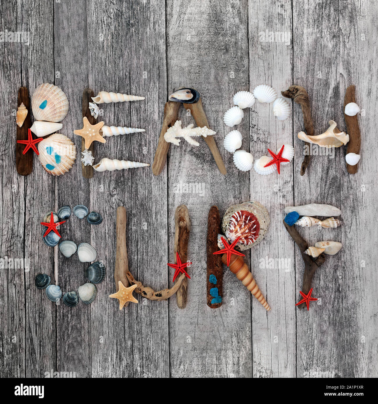 Word surf hi-res stock photography and images - Alamy