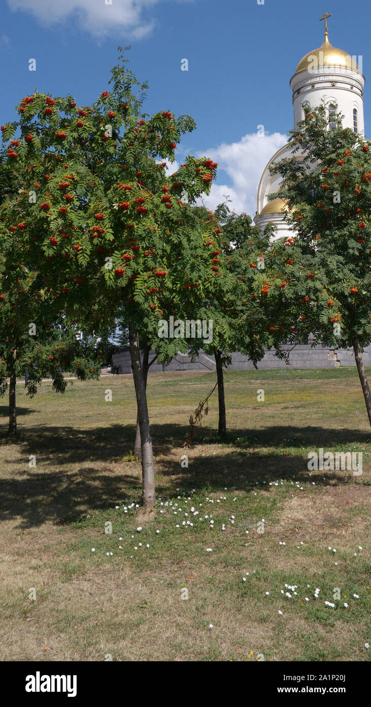 church and asberry Stock Photo - Alamy
