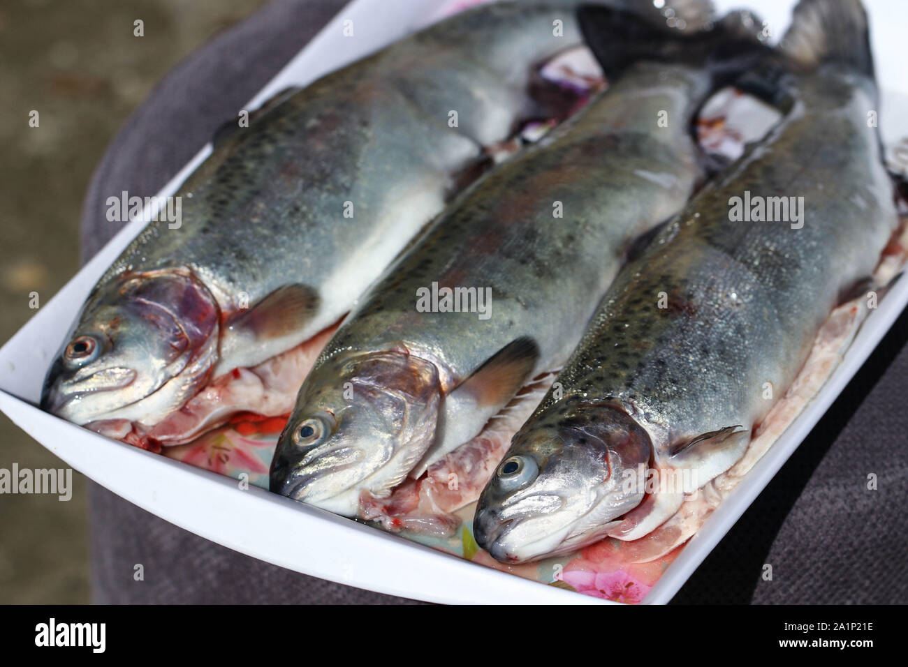 Fresh gutted trout Stock Photo - Alamy
