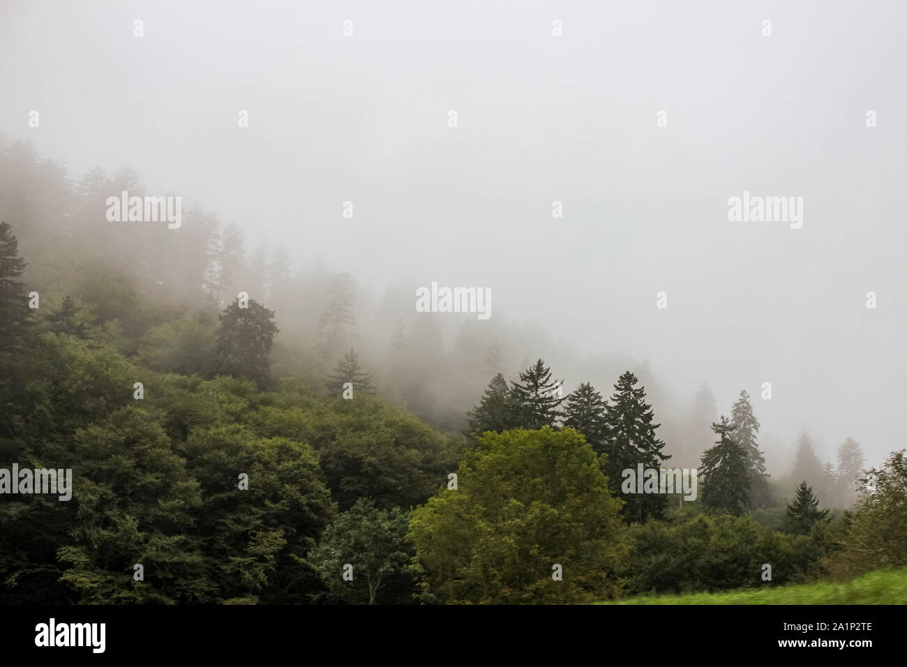 Misty weather on Smoky mountains in North Carolina, USA Stock Photo - Alamy