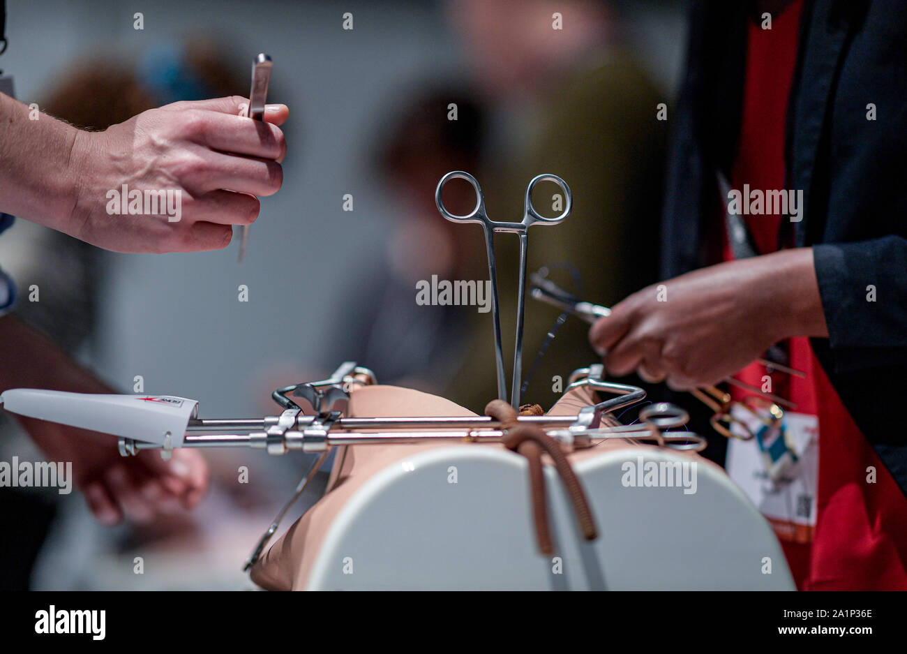 Hamburg, Germany. 26th Sep, 2019. Vascular surgeons are working on a ...