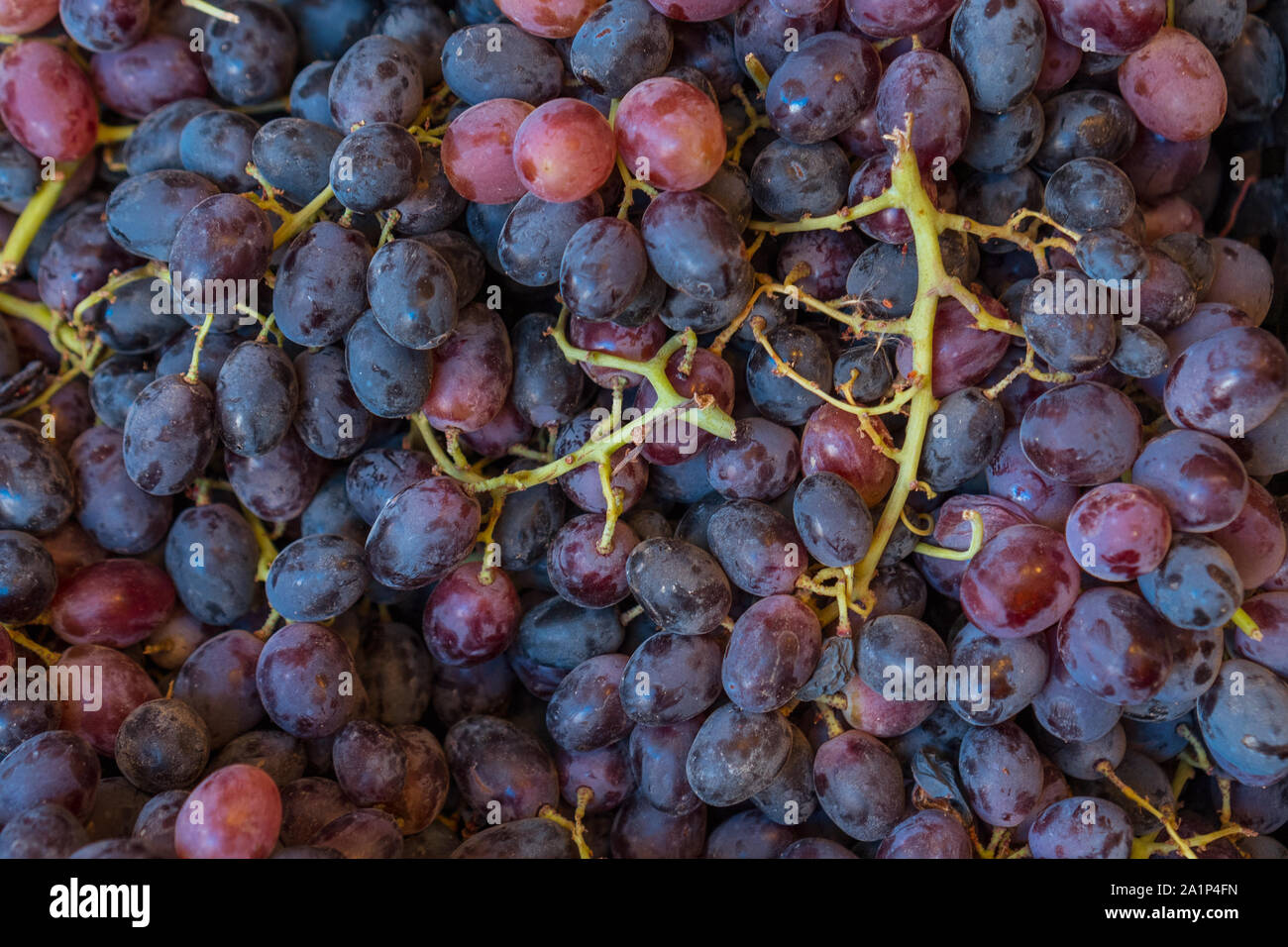 grapes in the local market Stock Photo - Alamy