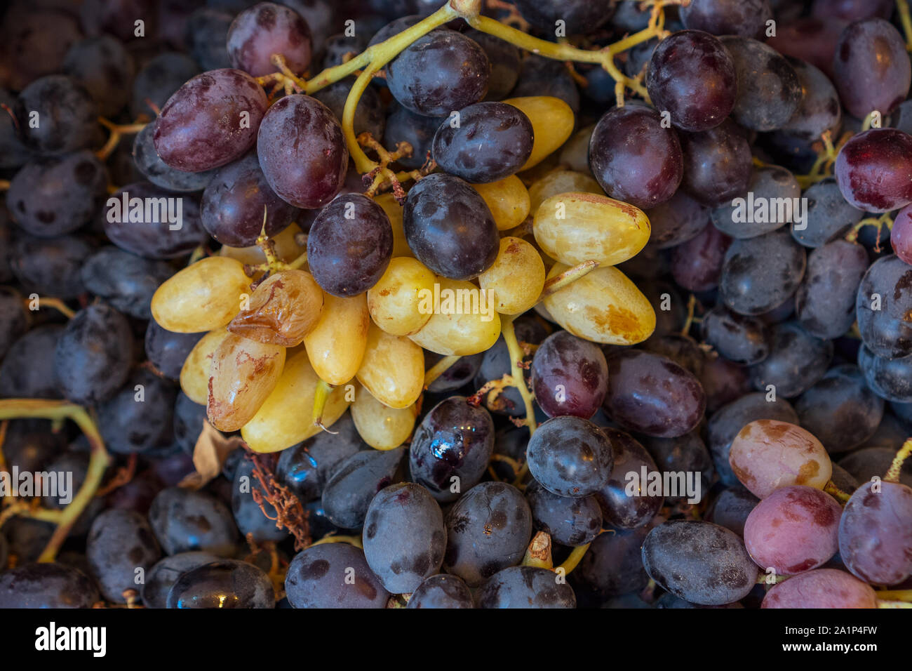 grapes in the local market Stock Photo - Alamy