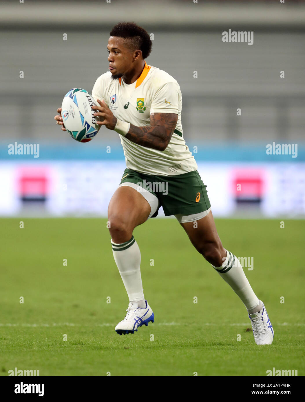 Elton Jantjies Springboks