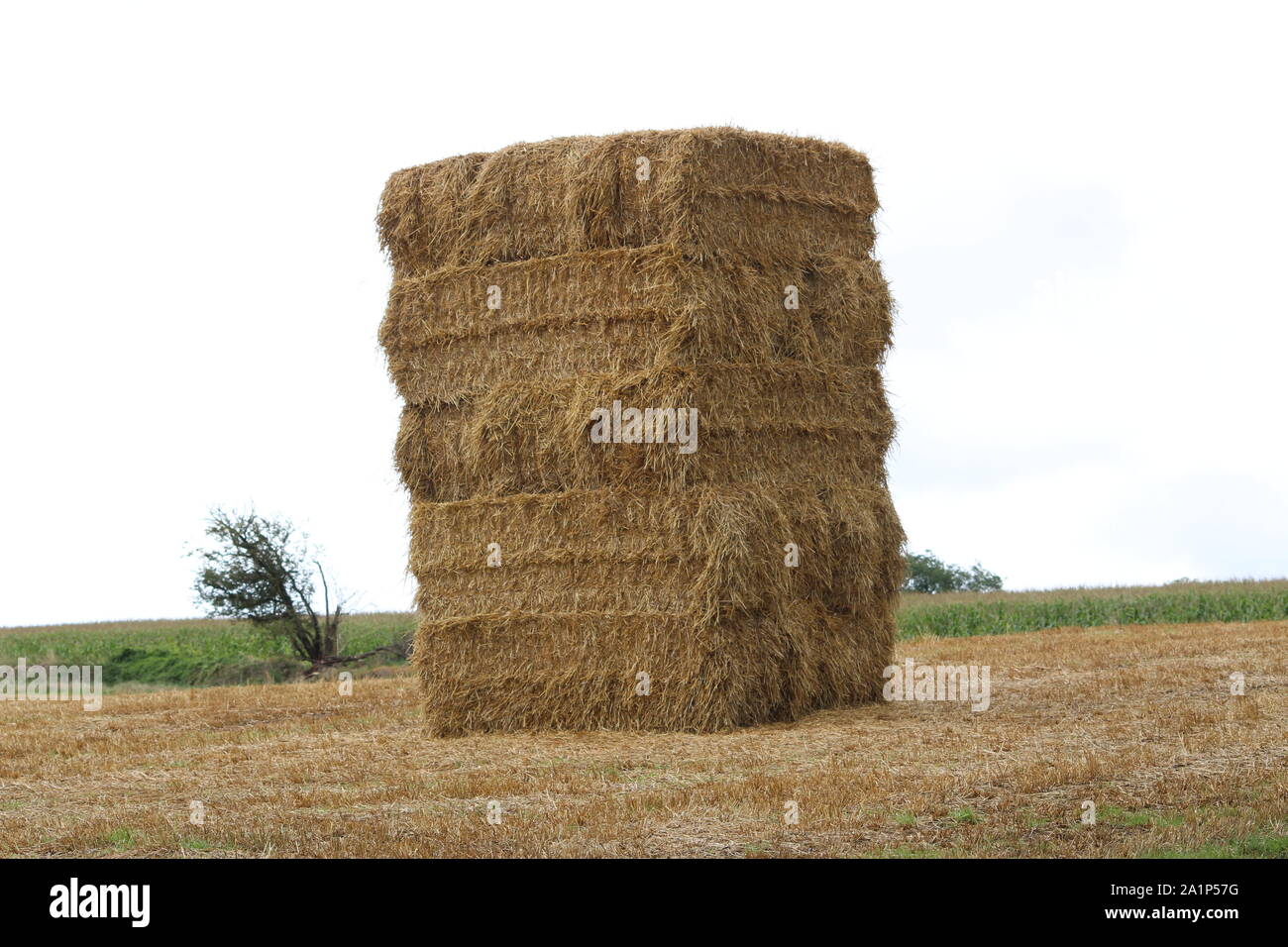 Giant haystack hi-res stock photography and images - Alamy