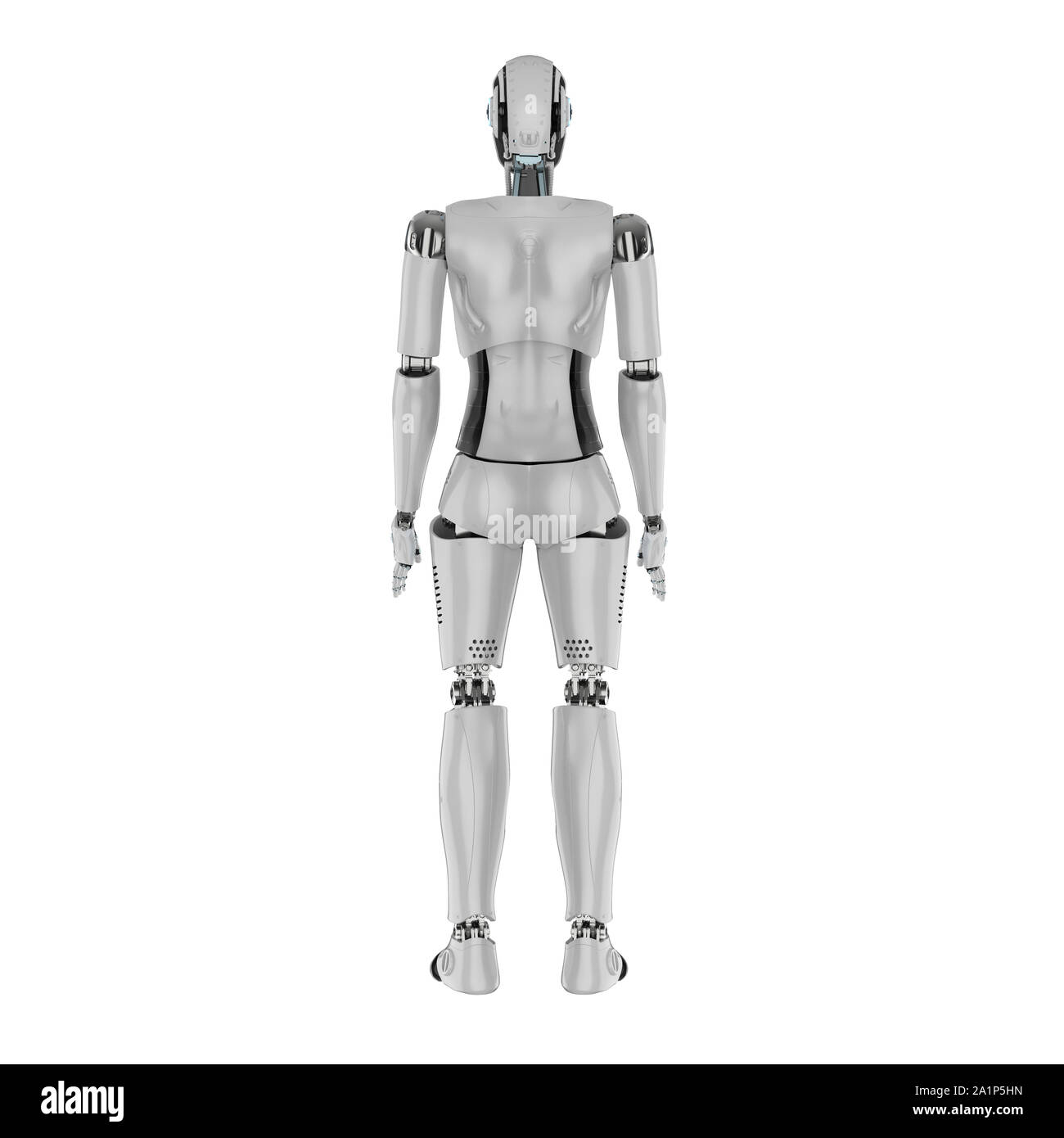 Human Robot Body