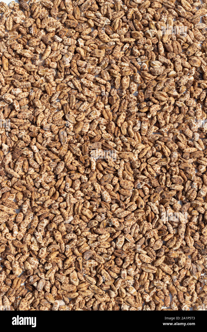 Solid background of foamed rice with cinnamon flavor and color Stock ...