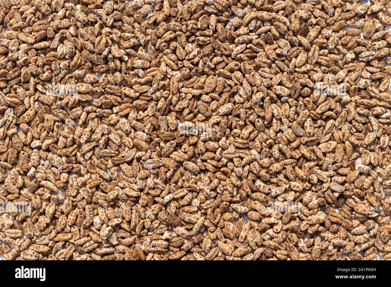 Solid background of foamed rice with cinnamon flavor and color Stock ...