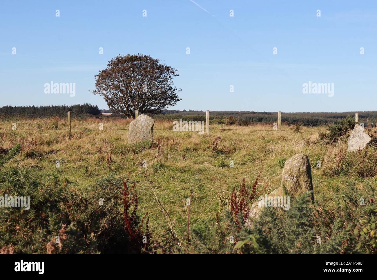 Strichen stone circle hi-res stock photography and images - Alamy