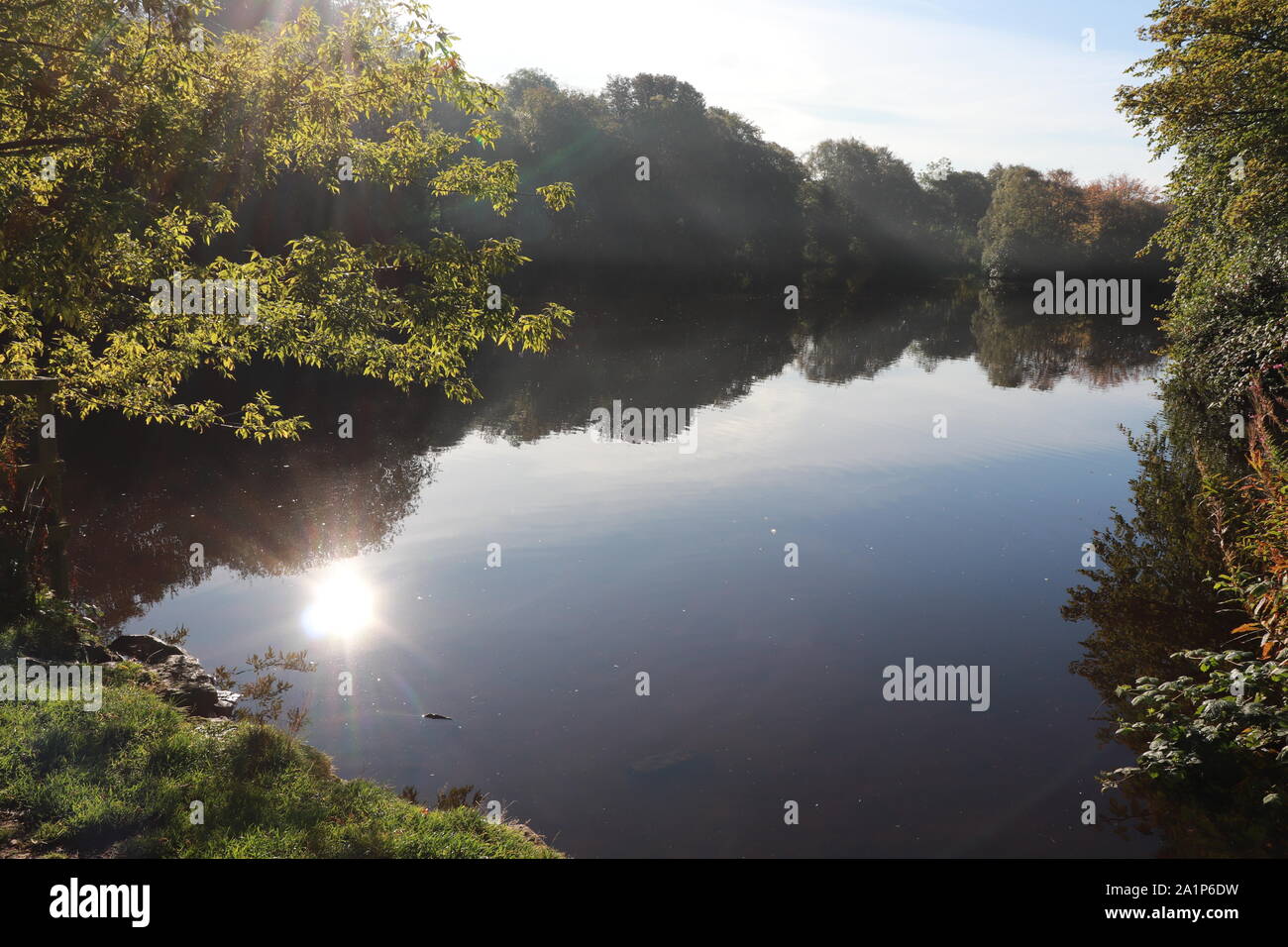 Trees, pond, and reflections Stock Photo - Alamy
