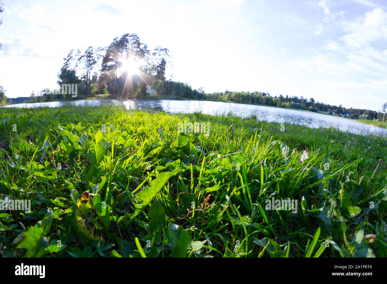 Field of green grass shooted with fisheye lens Stock Photo - Alamy