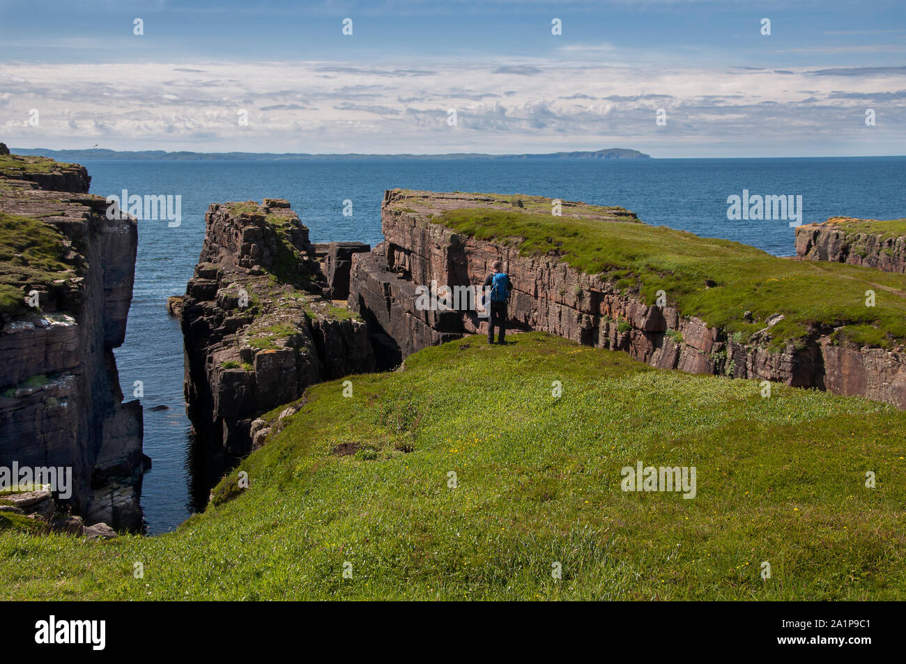 Handa Island, Scottish Wildlife Trust Wildlife Reserve, Sutherland, NW ...