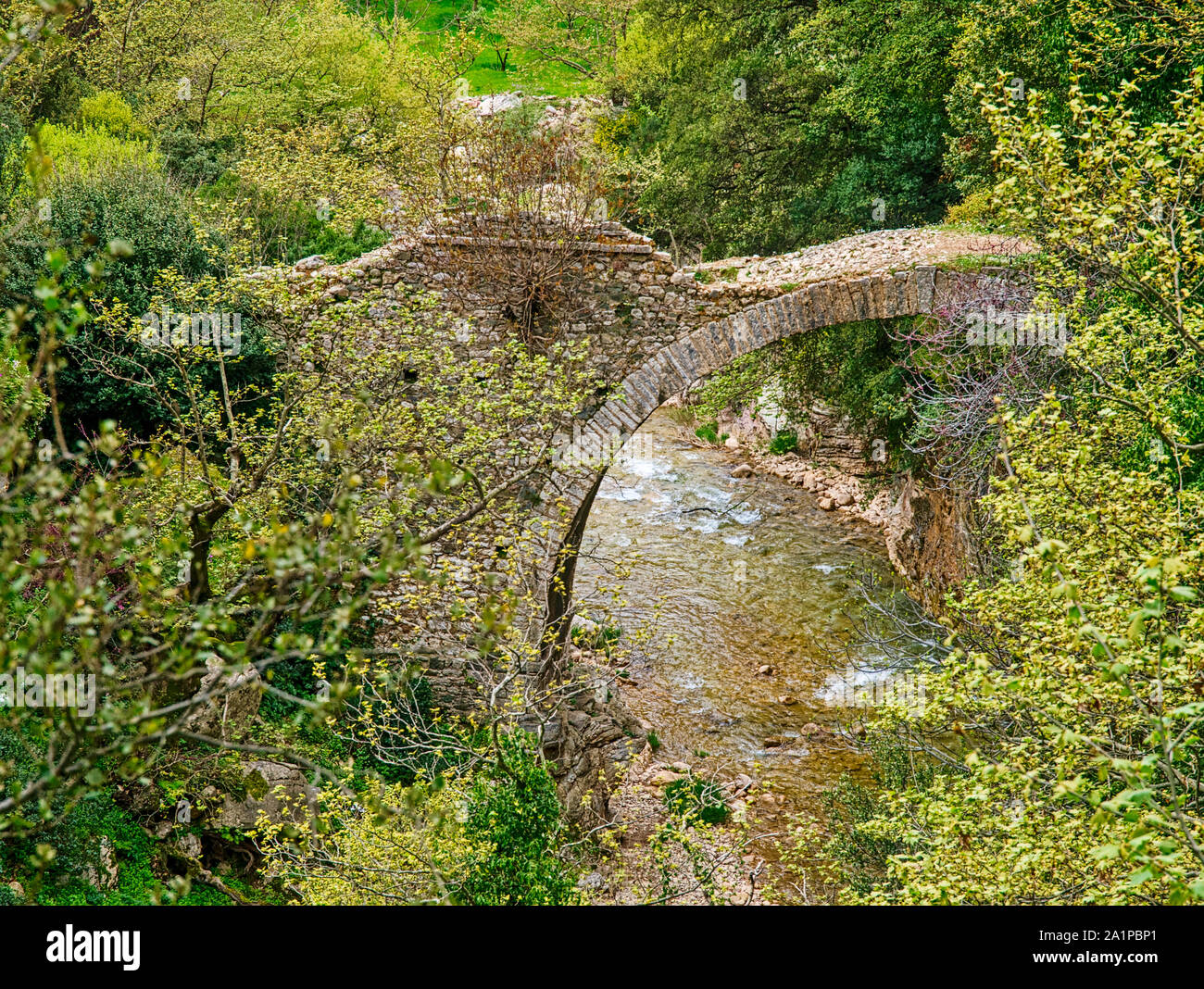 Traditional arch stone bridge above Neda river in Peloponnese, Greece ...