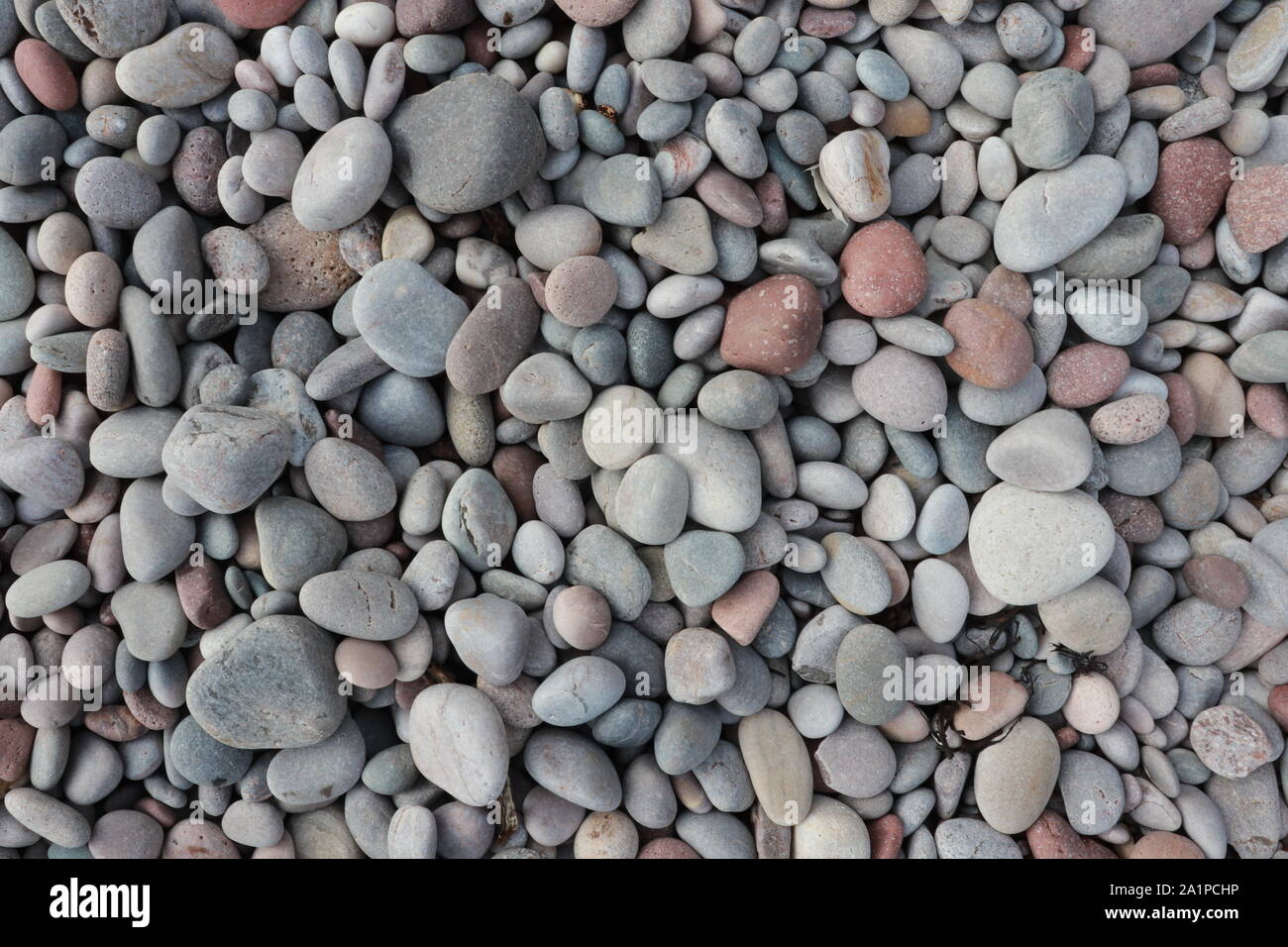 Pebbles filling frame hi-res stock photography and images - Alamy