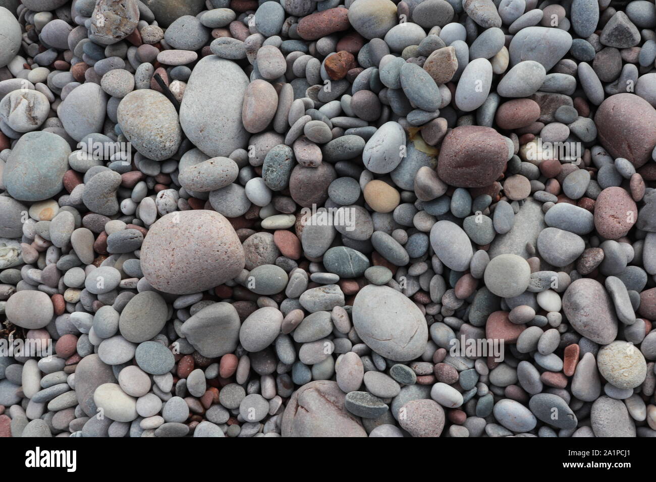 Lots of round pebbles filling frame hi-res stock photography and images ...