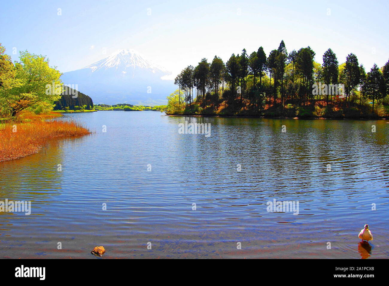 Mount Fuji Volcano in Japan Stock Photo - Alamy