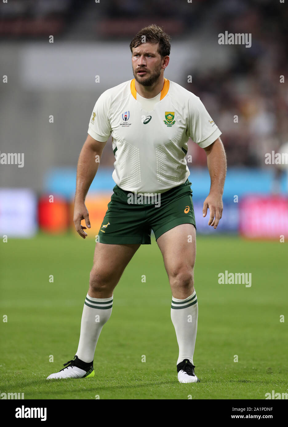 Francois Steyn