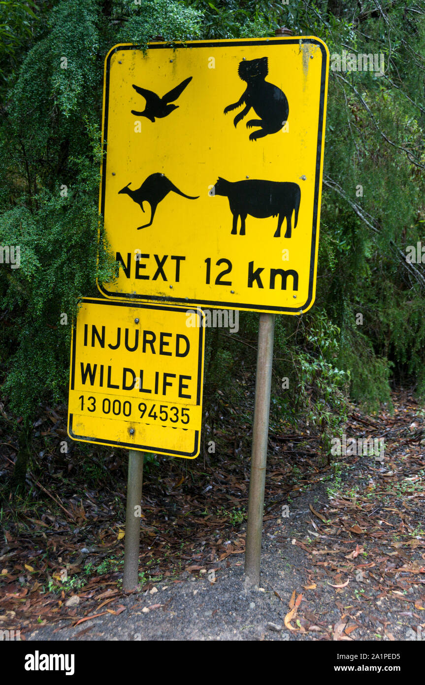 A road sign of wild life of a bird, Koala, Kangaroo and cattle on the ...